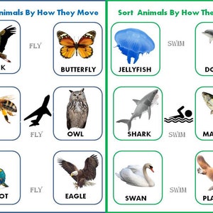 Sorting Game- How Animals Move, Preschool Printable, Homeschool ...