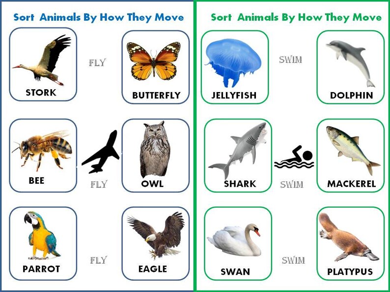 Sorting Game- How Animals Move, Preschool Printable, Homeschool ...