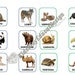 Spanish-sorting Game How Animals Move, Preschool Printable, Homeschool ...