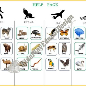 Sorting Game- How Animals Move, Preschool Printable, Homeschool ...