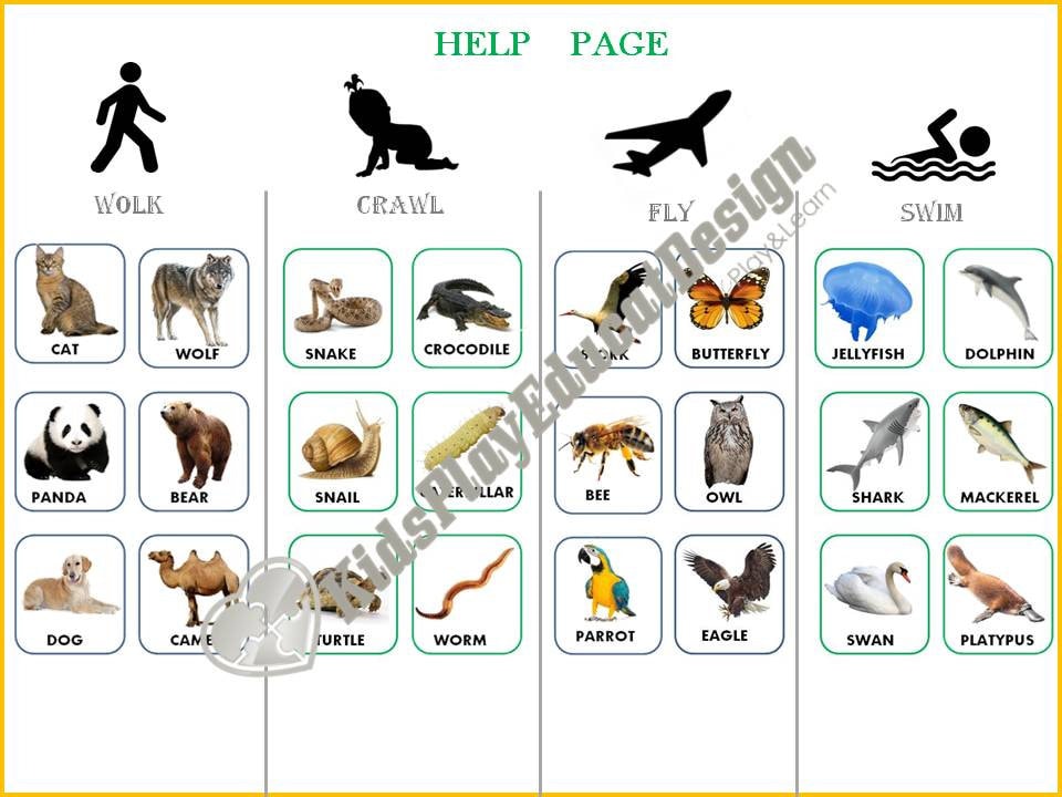 Sorting Game- How Animals Move, Preschool Printable, Homeschool ...