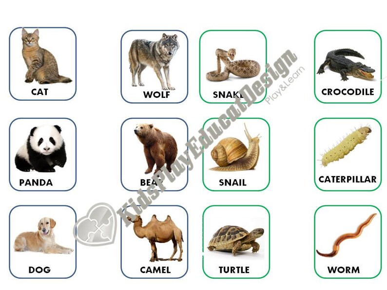 Sorting Game- How Animals Move, Preschool Printable, Homeschool ...