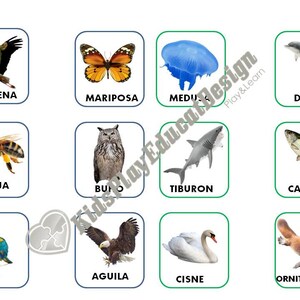 Spanish-sorting Game- How Animals Move, Preschool Printable, Homeschool ...