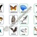 Spanish-sorting Game How Animals Move, Preschool Printable, Homeschool ...