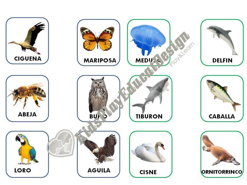 Spanish-sorting Game- How Animals Move, Preschool Printable, Homeschool ...