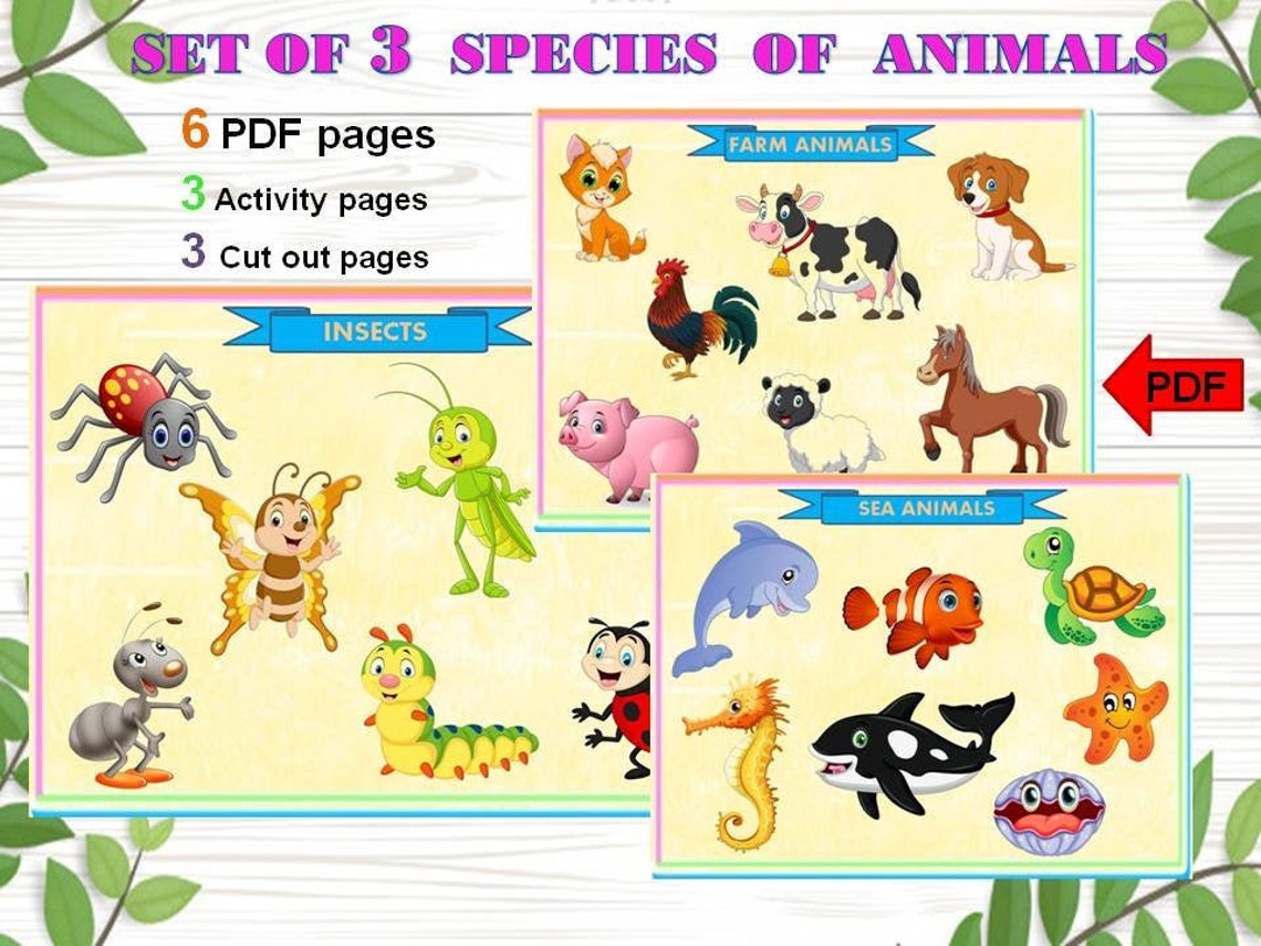 INSECTS, FARM, SEA Animals, Set of 3 Species of Animals, Montessori ...