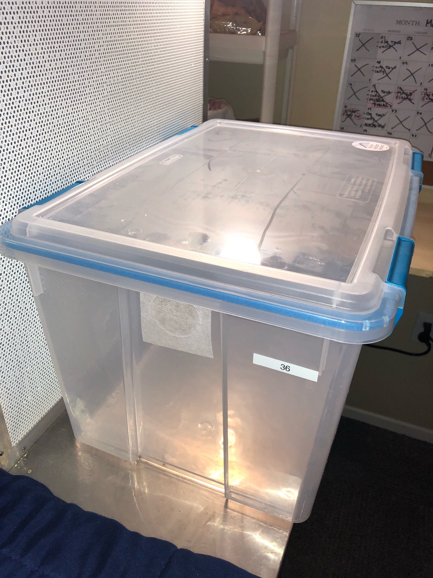 Automated Monotub for Mushroom Cultivation 54 Quart | Etsy