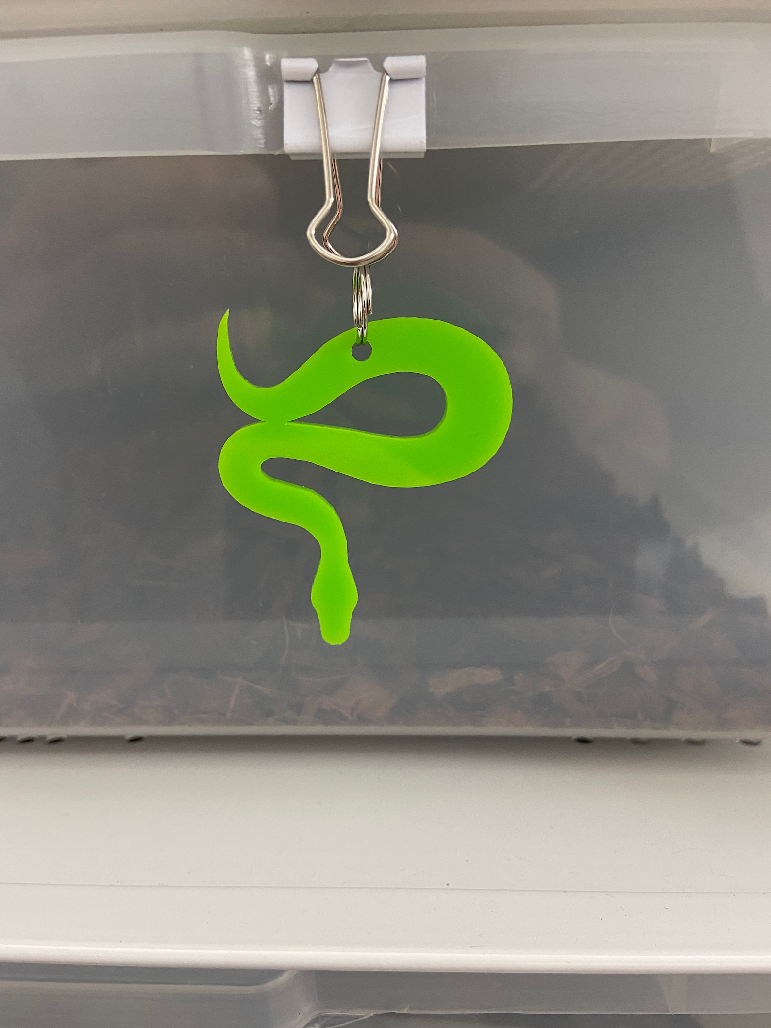 10 Single Colour Male Tags - Bright Green - Etsy