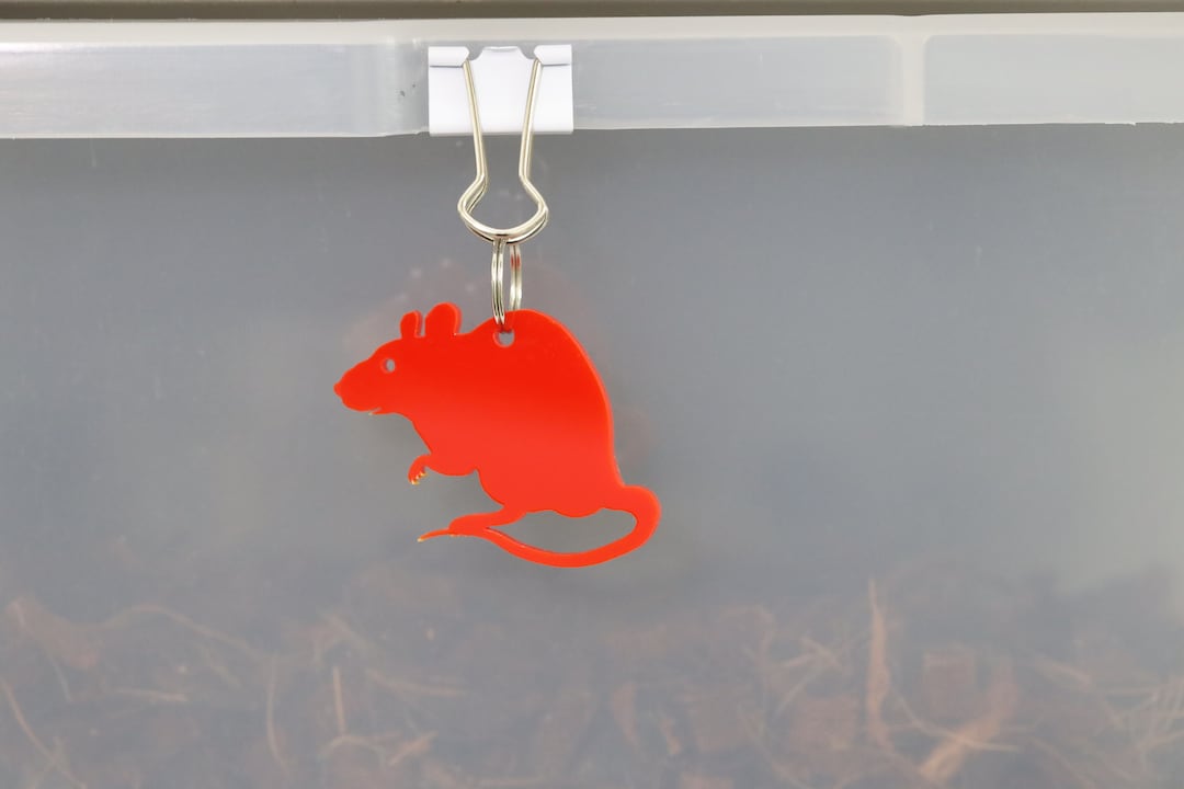 20 X Rat Tag Feeder Rodent Tag for Your Snake Rack 10 Pack - Etsy