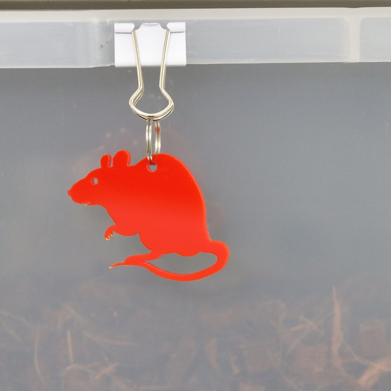 Rat Stickers - Etsy