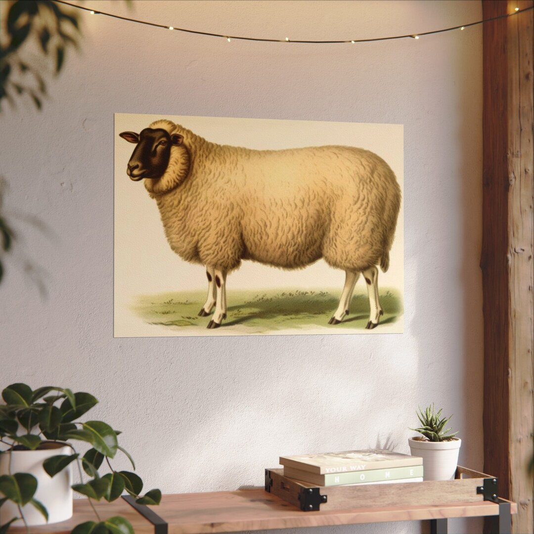 Beautiful Sheep Art, Farm Poster, Wooly Sheep, Home Decor, Farm House ...
