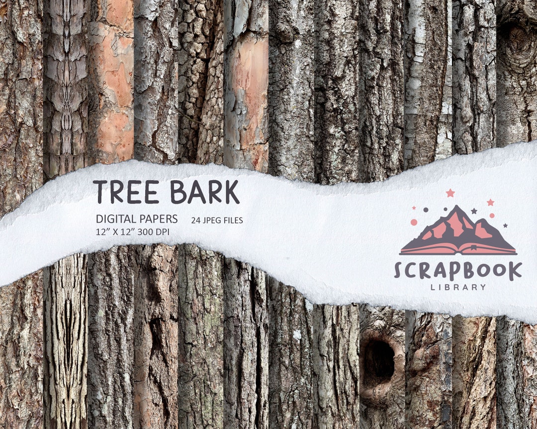 Digital Tree Bark Paper, Tree Texture Paper, Tree Pattern Backgrounds ...