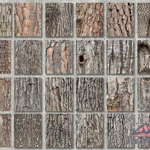 Digital Tree Bark Paper, Tree Texture Paper, Tree Pattern Backgrounds ...