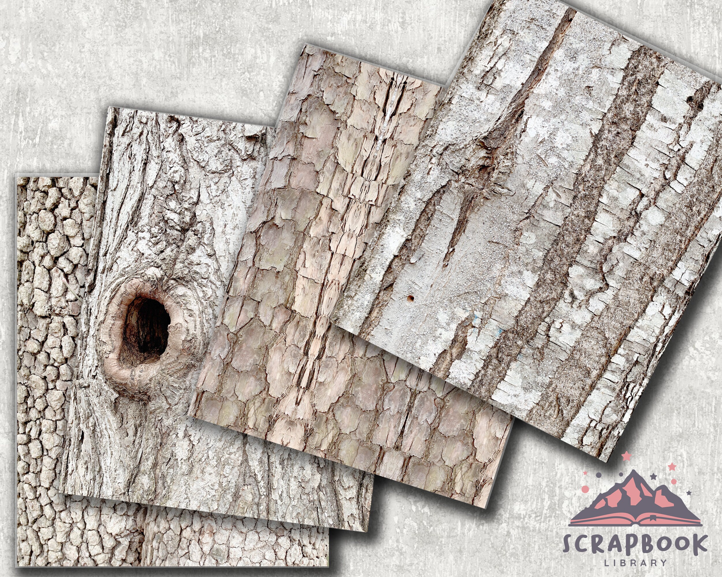 Digital White Tree Bark Paper, White Tree Trunk Texture, Tree Pattern ...
