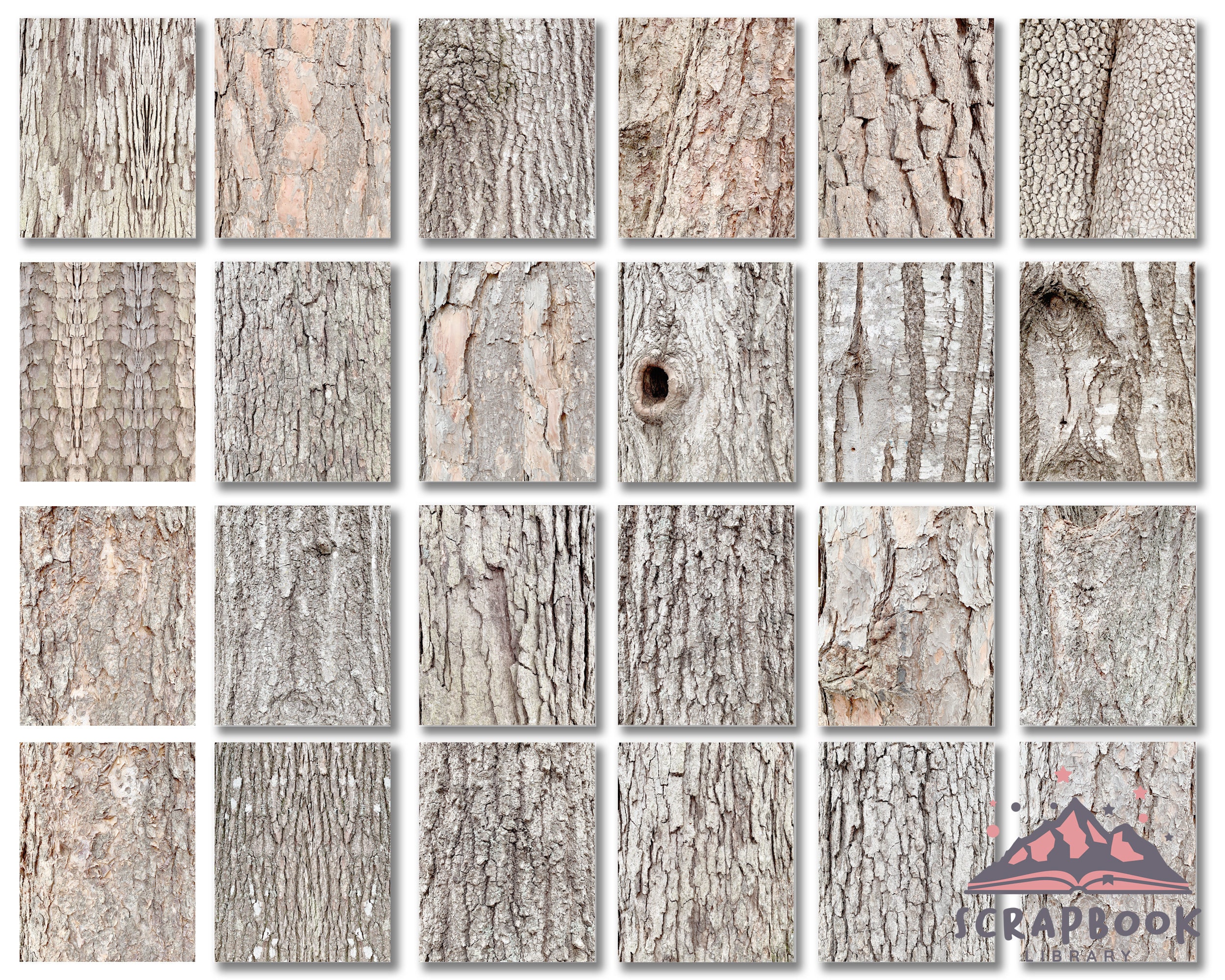 Digital White Tree Bark Paper, White Tree Trunk Texture, Tree Pattern ...