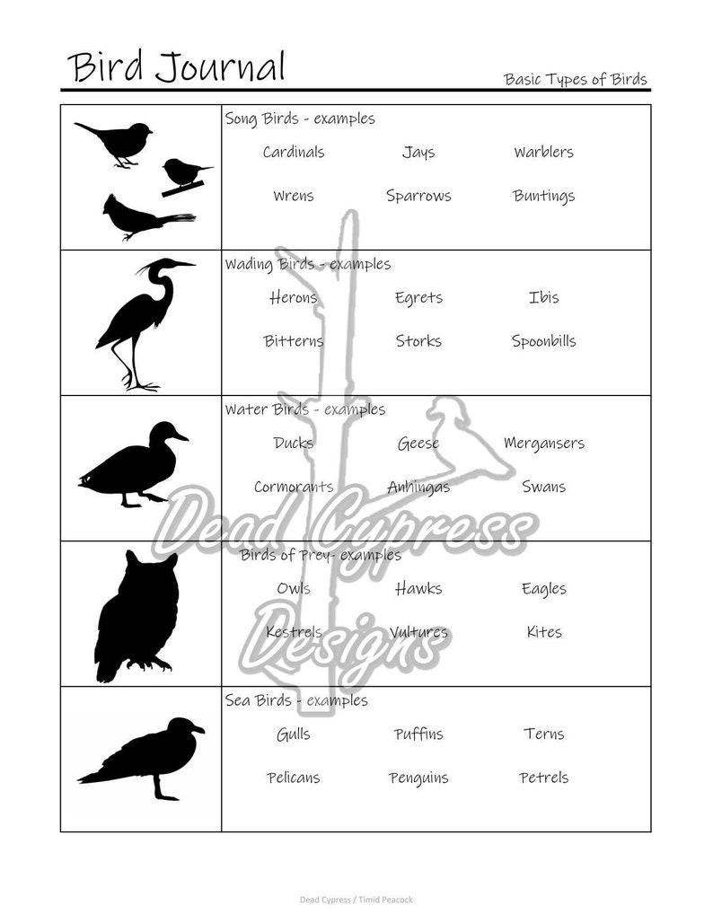 Bird Journal, Printable PDF, Bird Logbook, Bird Watching, Bird Lovers ...