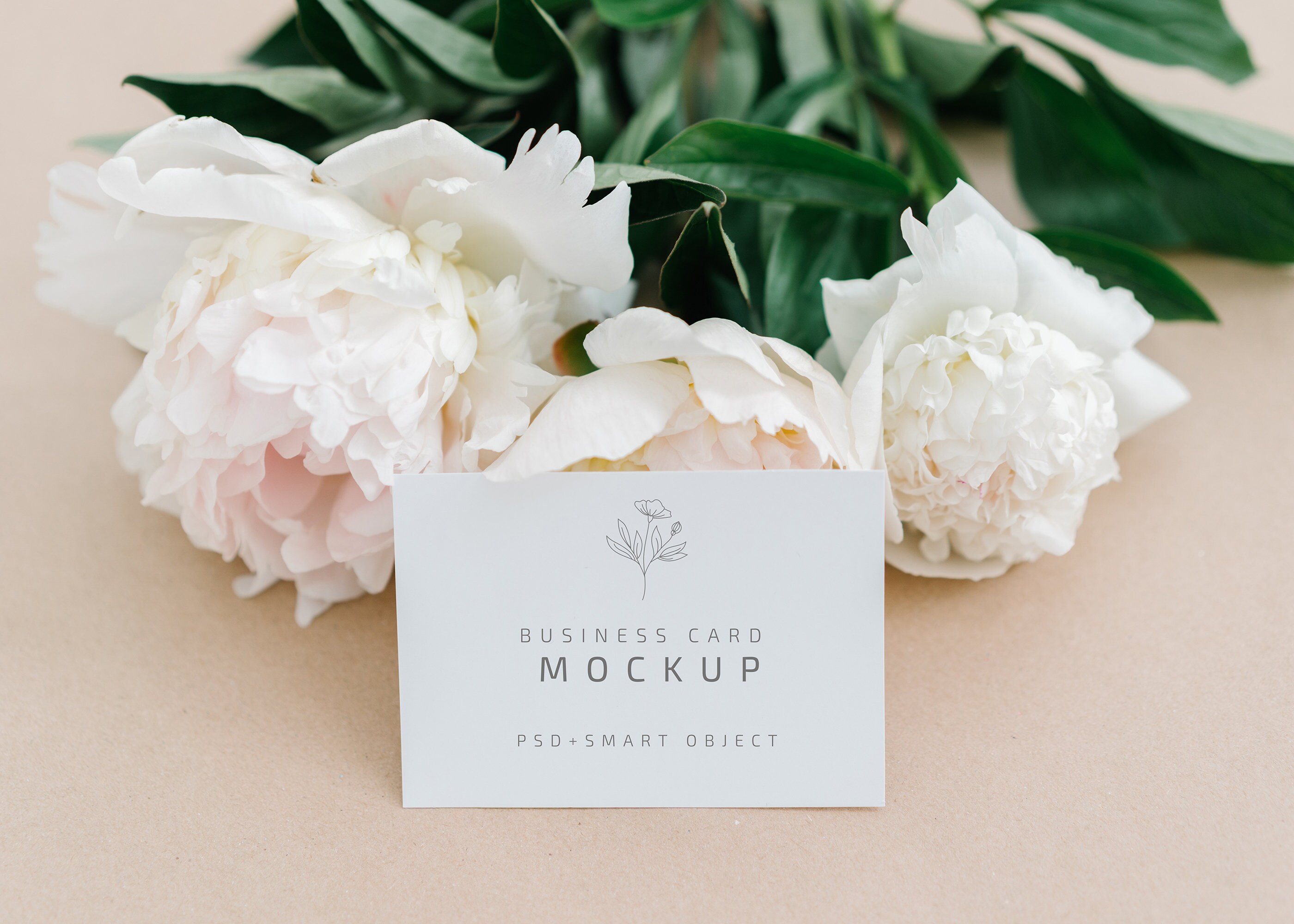 Business Card Mockup, Name Card Mockup, Place Card Mockup 1402 - Etsy