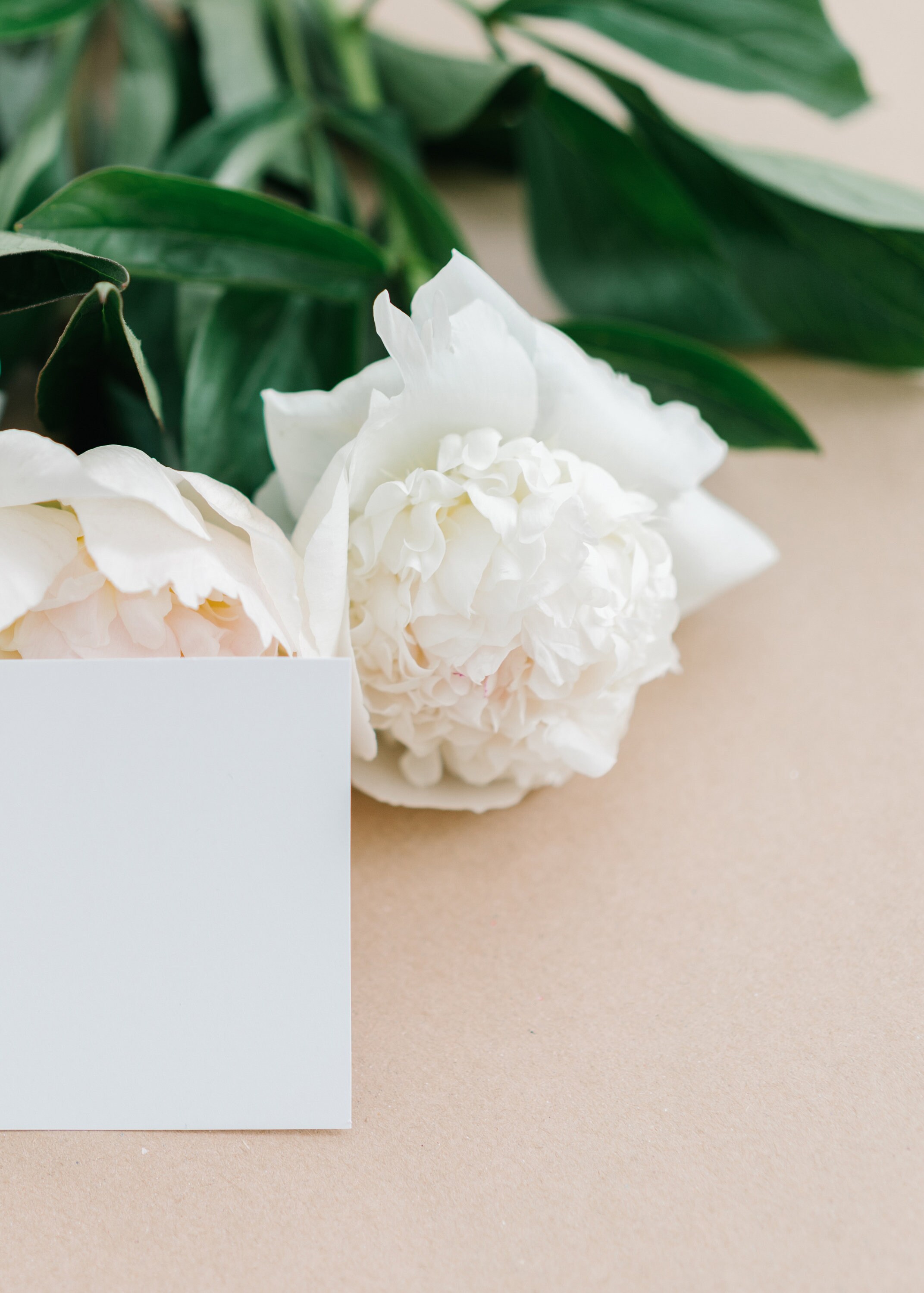 Business Card Mockup, Name Card Mockup, Place Card Mockup 1402 - Etsy