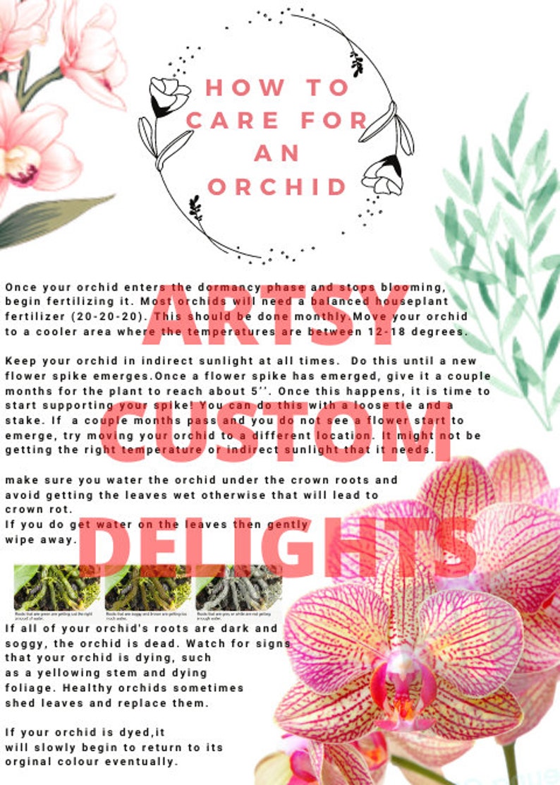 Orchid Care Sheet and Instructions|2 Part How to Care for an Orchid ...