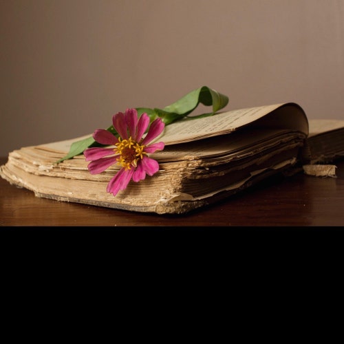 CalliopeVintageBooks - Etsy