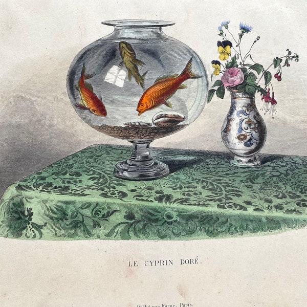 Antique Fish Print - Etsy