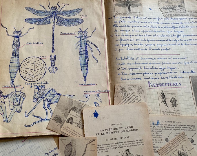 NEW STOCK Amazing Large Lovely 1950’s French School Book Notebook ...
