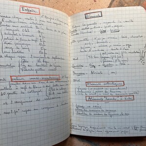 NEW STOCK Fabulous 1950’s Small French Handwritten School Notebook ...