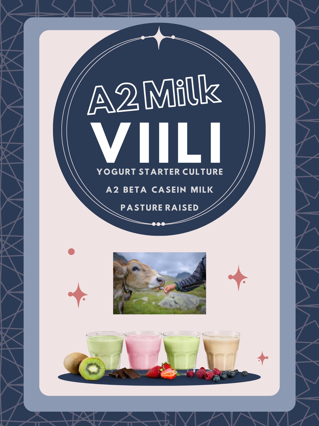 VIILI YOGURT Starter. Mesophilic Yogurt Starter. No Heating Method ...