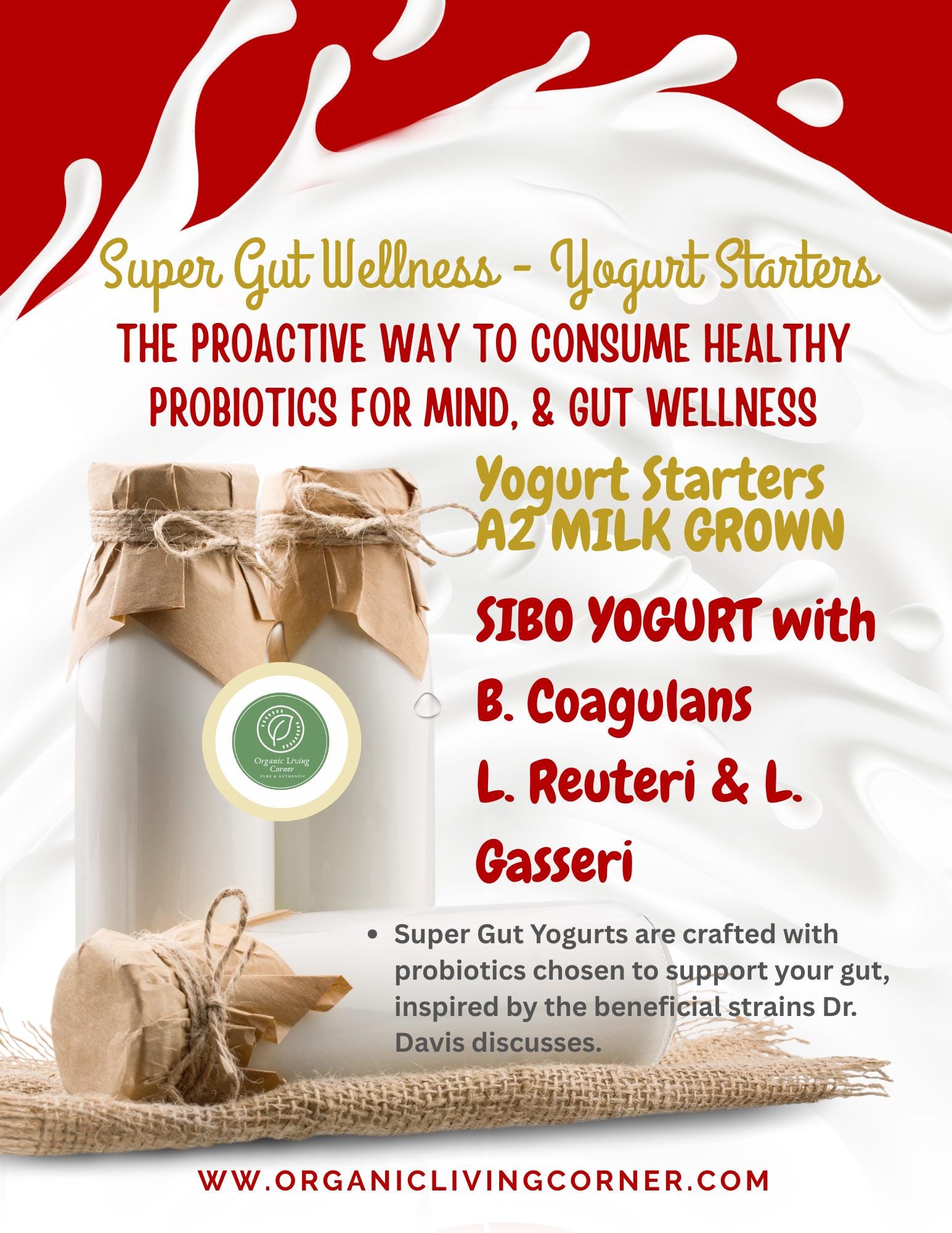 A2 Milk SIBO Yogurt Starter Culture Kit: Probiotic L Reuteri, L Gasseri ...