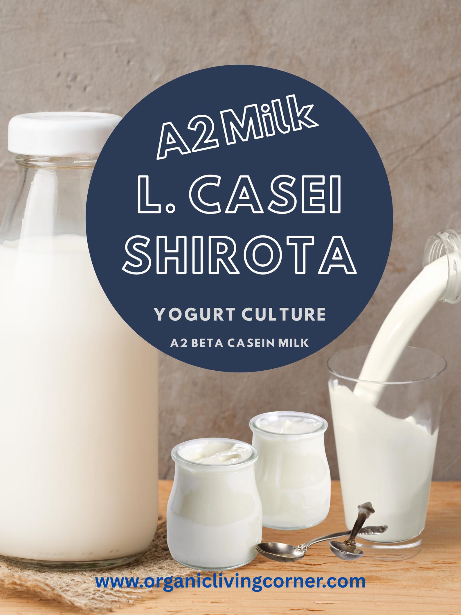 A2 Milk Yogurt Starter Kit: L. Casei Shirota Culture, Probiotic Rich ...