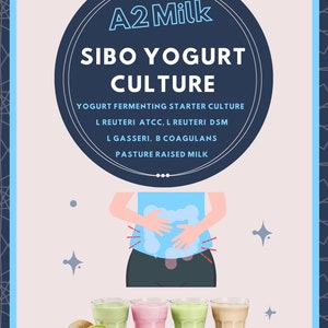 SIBO Yogurt Starter Pack. A2 Pasture Raised Milk Grown. Make Batch ...
