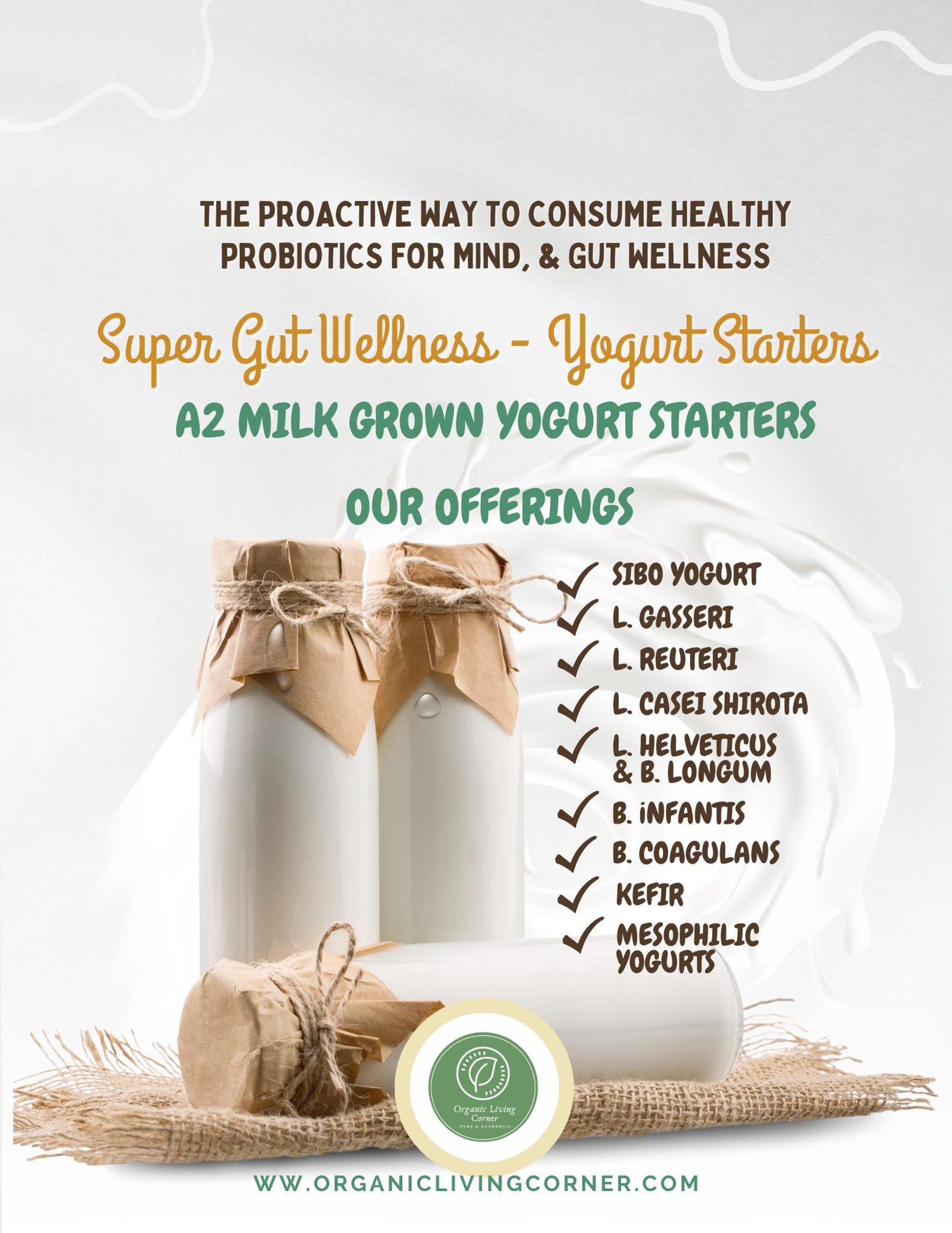 A2 Milk Yogurt Starter Kit: L. Casei Shirota Culture, Probiotic Rich ...