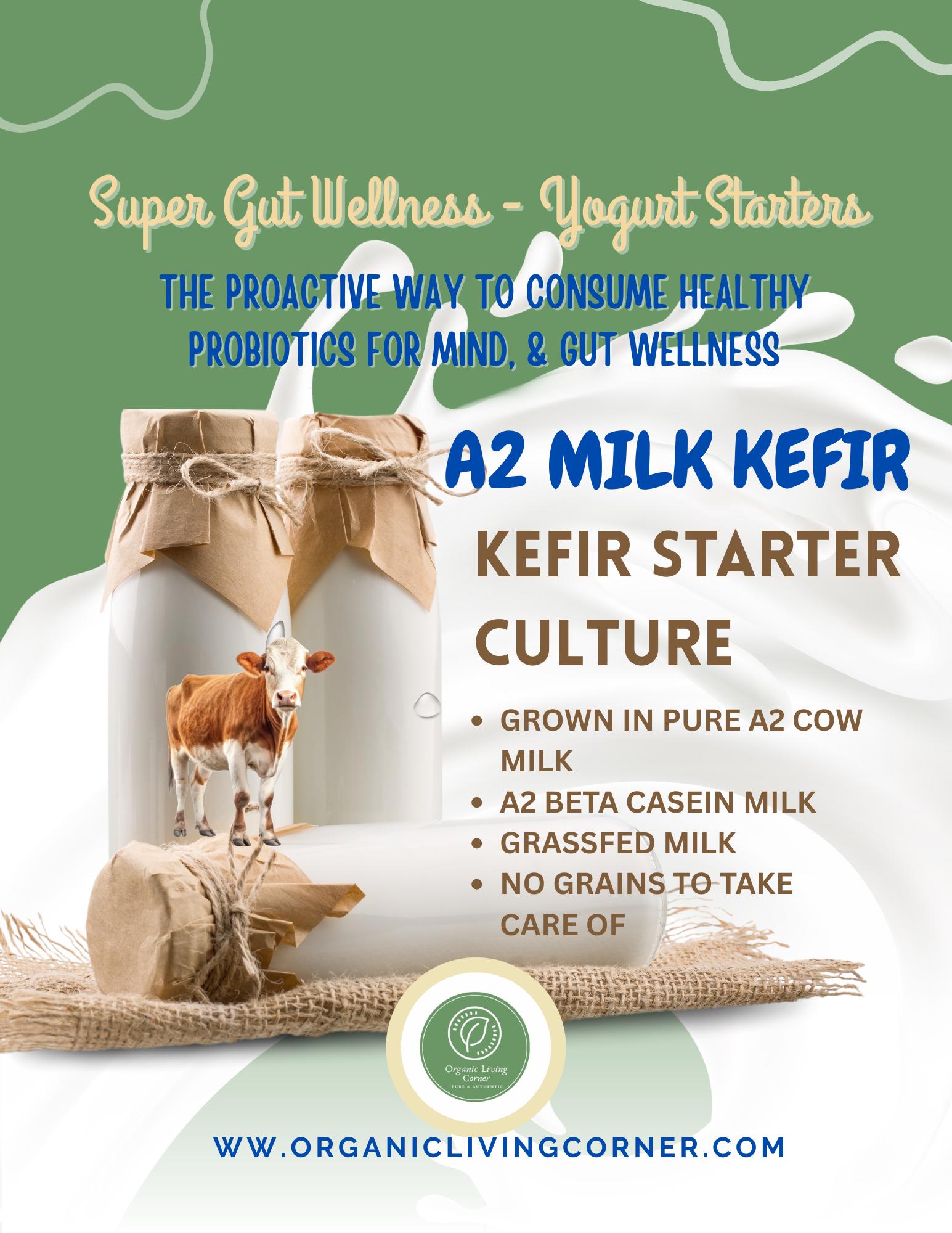 A2 Milk Kefir Starter: Pasture-raised Yogurt Culture, 5 Sachets - Etsy