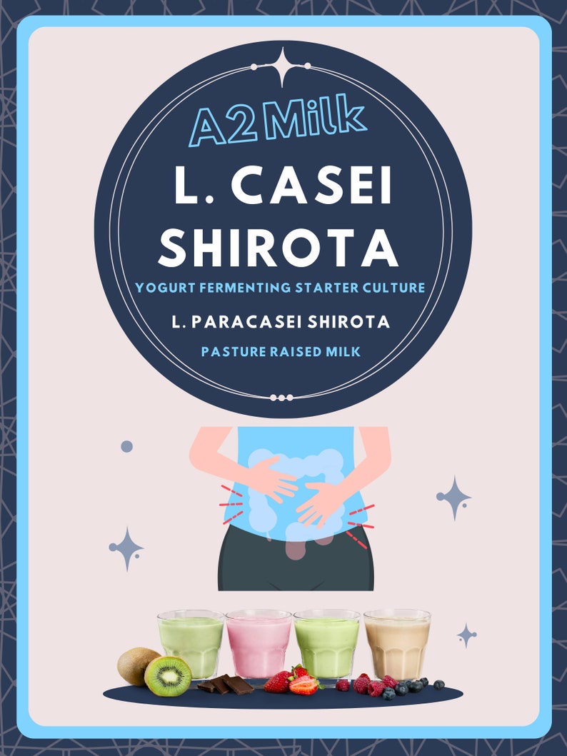 L. CASEI SHIROTA Yogurt Starter Kit: A2 Milk Culture, Probiotic - Etsy