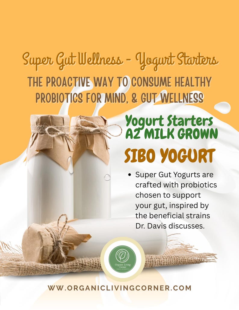 A2 Milk SIBO Yogurt Starter Culture Kit: Probiotic L Reuteri, L Gasseri ...