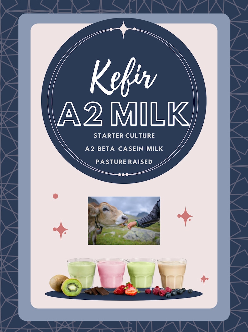 A2 Milk Kefir Starter 5 Sachets, Pasture Raised Kefir Yogurt Culture. Make Batch After Batch ...