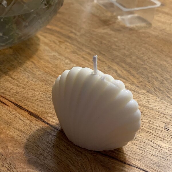 Shell Candle - Etsy