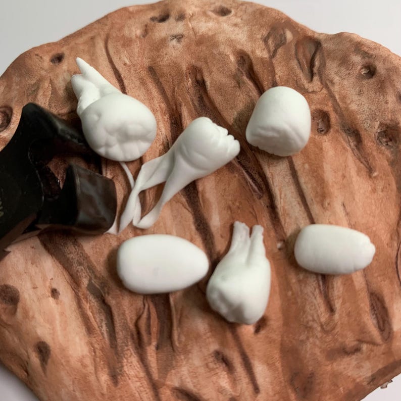 Realistic Foam Human Teeth: Halloween Prop & DIY Craft Supply - Etsy