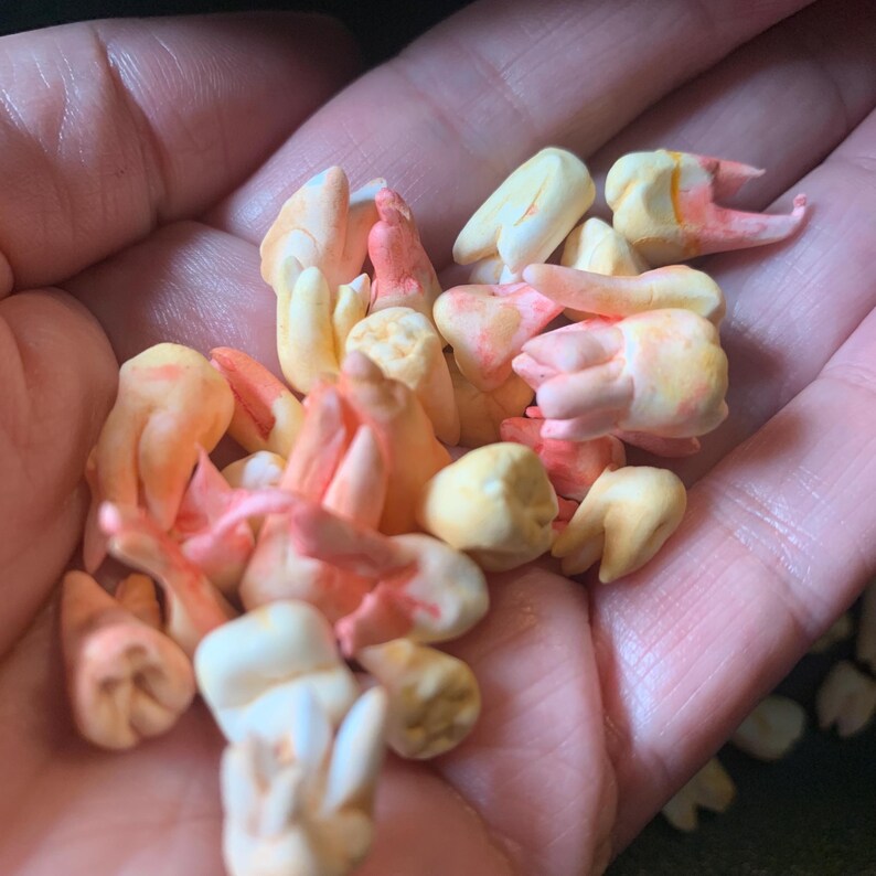 Realistic Foam Teeth — Apothecary Filler, Witch Altar & Halloween Prop ...