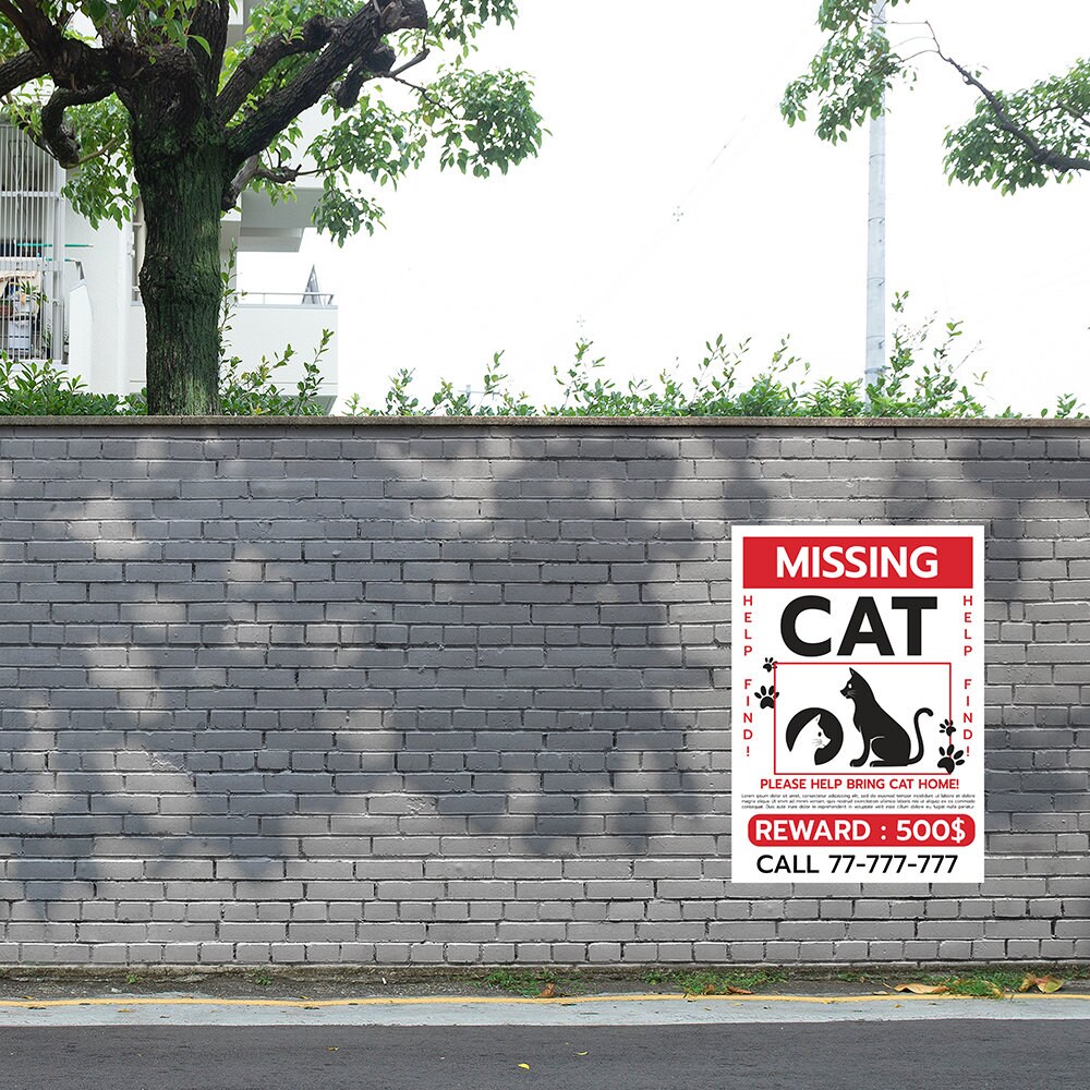 Lost Cat & Dog.reward for the Find.missing Poster. Lost Pet - Etsy UK