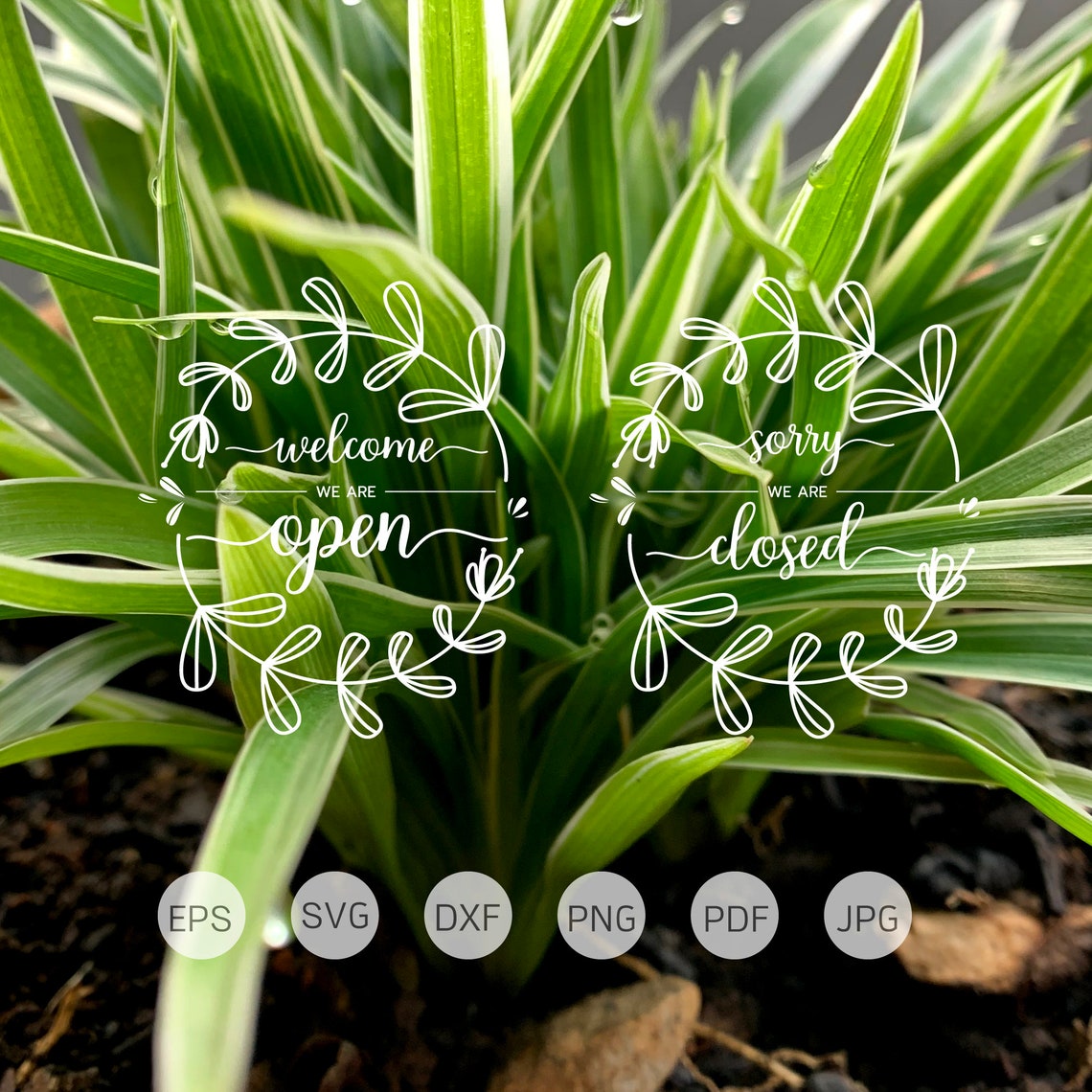 Floral Frame Open Closed Shop Sign SVG Cut Files Come in - Etsy