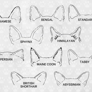 Cat Ears Outline Drawing SVG Bundle With 10 Breeds | Commercial License ...
