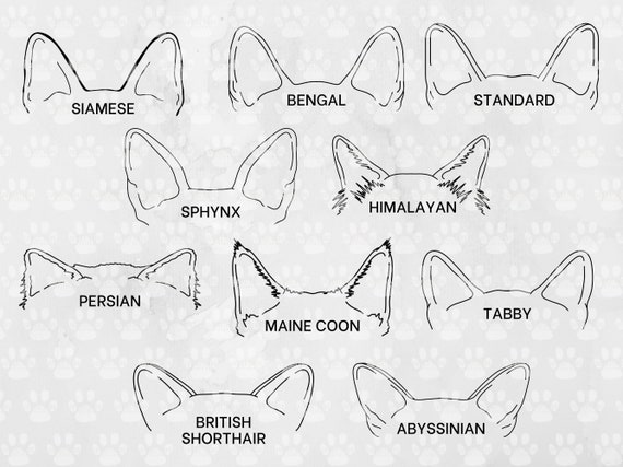 Cat Ears Drawing