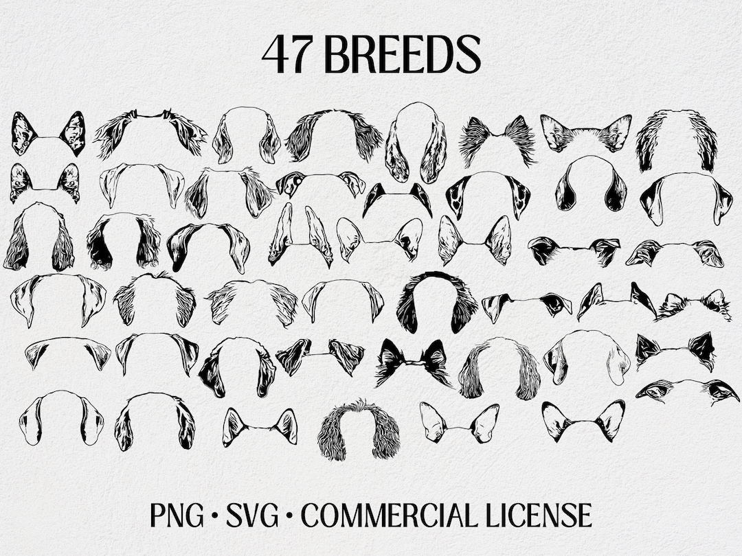 Detailed Dog Ears Bundle With 48 Breeds, SVG, PNG Commercial License ...