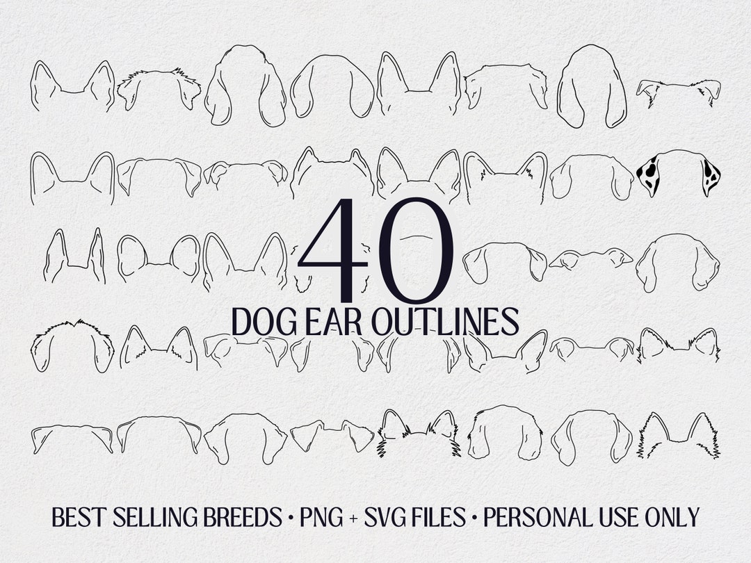 Dog Breed Ear Outlines SVG Bundle: 40 Designs (PNG, SVG) - Etsy