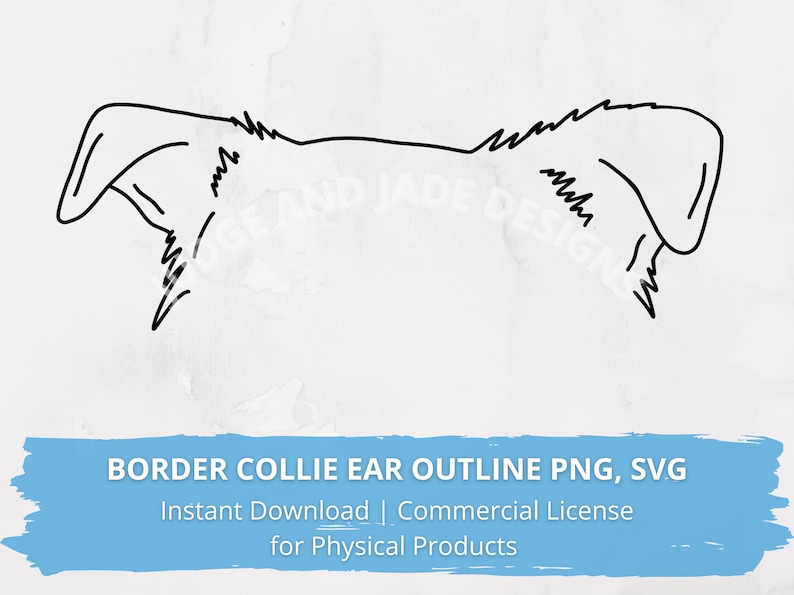 Border Collie Dog Ear Outline SVG PNG Digital Download for - Etsy