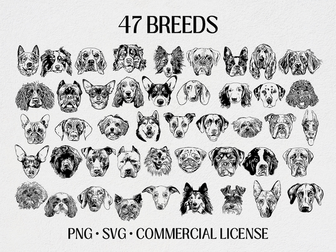 Detailed Dog Face SVG Bundle With 47 Breeds | Commercial License ...