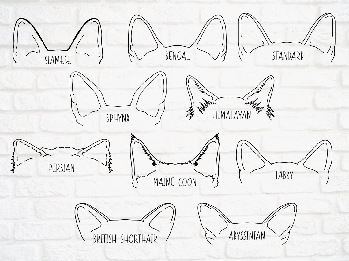 Cat Ears Outline Drawing SVG Bundle With 10 Breeds - Etsy