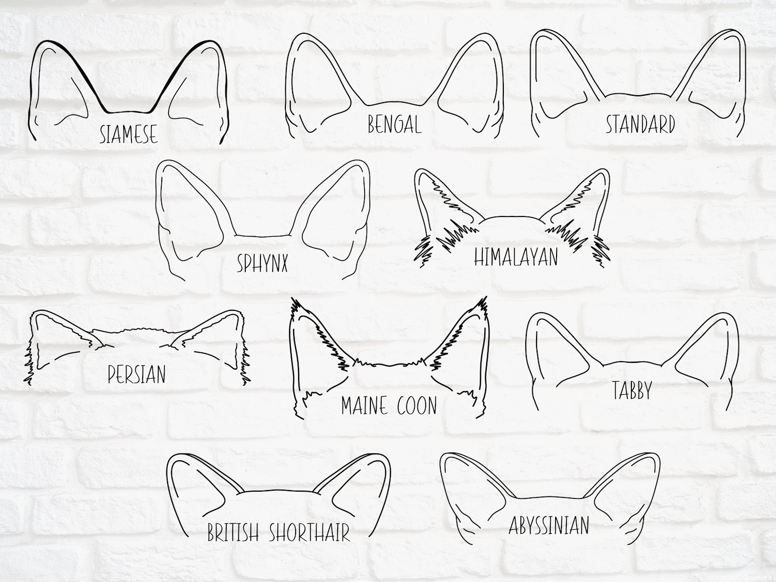 Cat Ears Outline Drawing SVG Bundle With 10 Breeds - Etsy