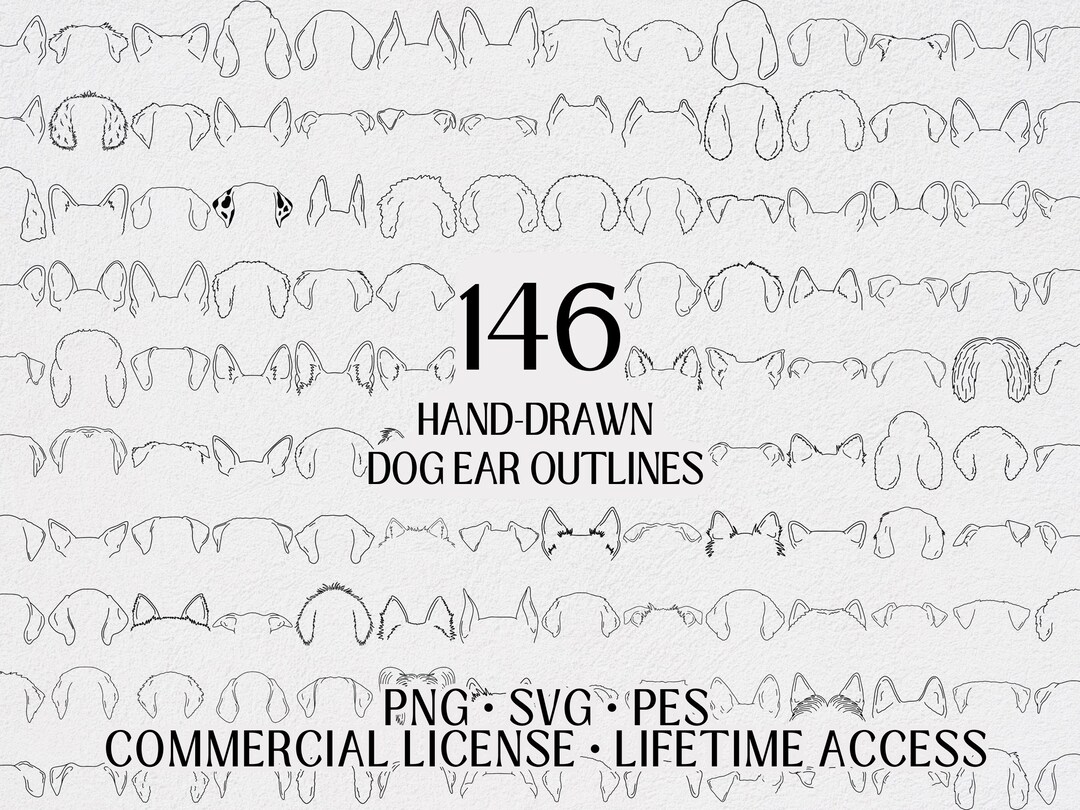 Dog Ear SVG PNG PES Bundle: 146 Minimalistic Hand-drawn Breed Outline ...